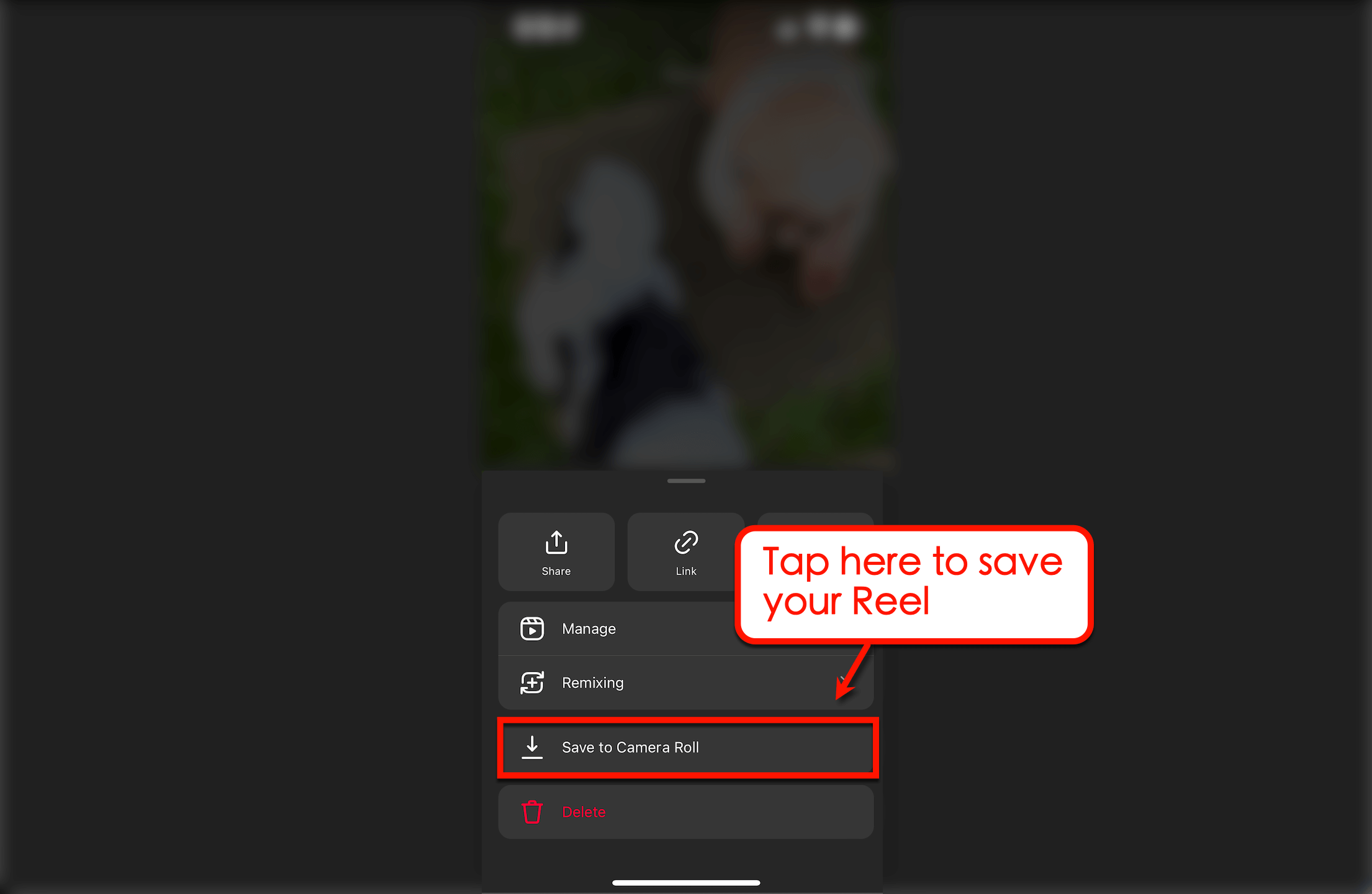 How to Repost a Reel on Instagram [Step-by-Step Guide] | Vista Social